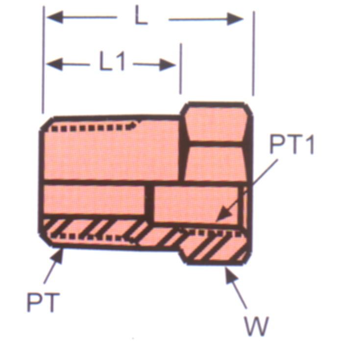 Stainless Steel NPT Bushings 875 Hydraulic & Pneumatic Parts