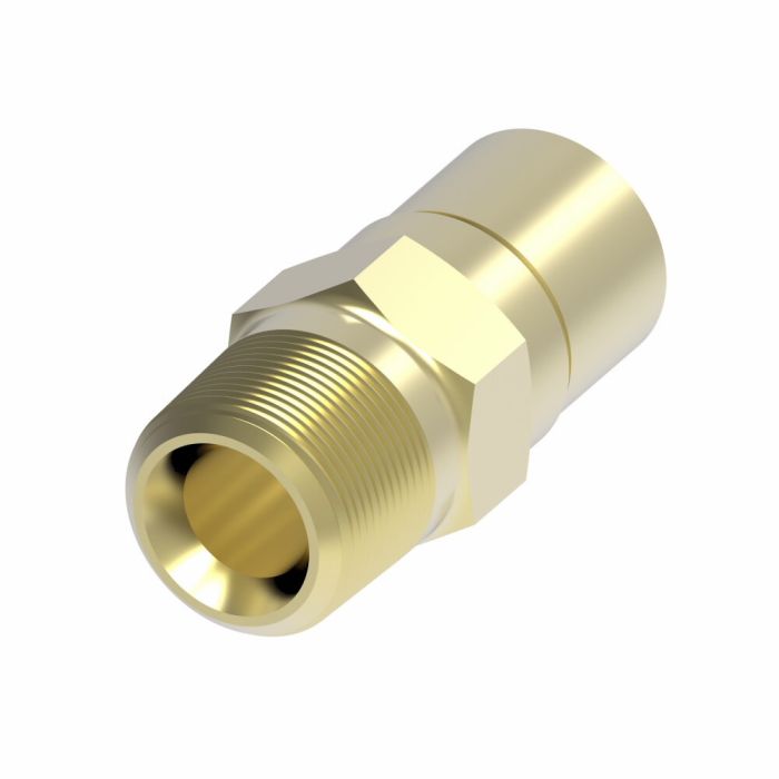 FITTING PERM, (NPTF) Everswage B-1103