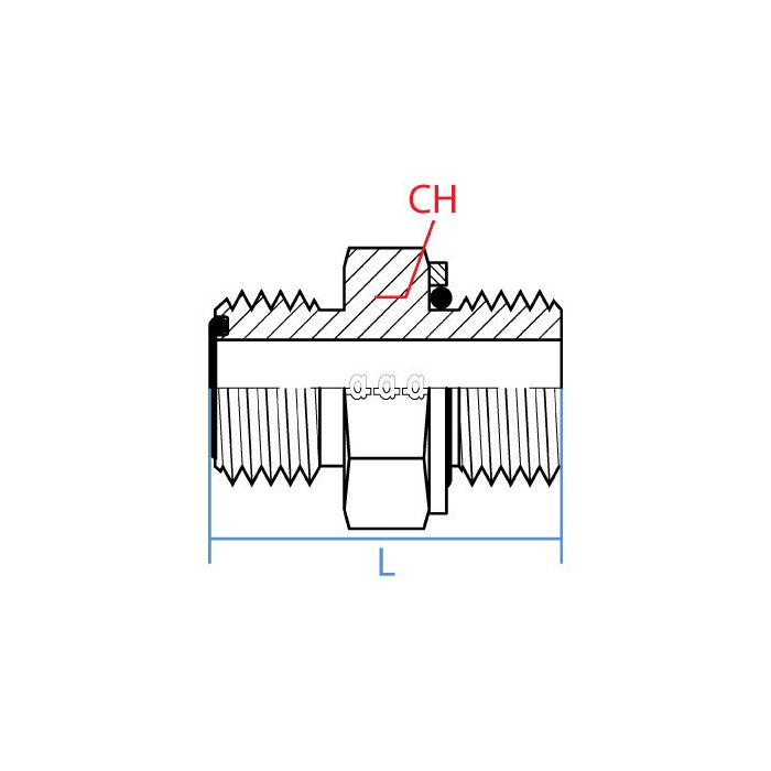 Male Orfs X Male Metric Sealed 6068-16-33 Hydraulic Supply Co.