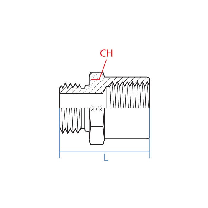 Brass M.Bspp X F.Bspp Bushing 8039-12-08 Hydraulic & Pneumatic Parts