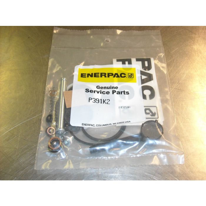 ENERPAC Hydraulic Hand Pump Repair Kit P391K2 Hydraulic & Pneumatic Parts