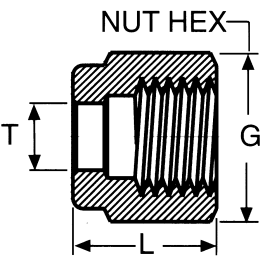 Stainless Steel Duolok Nuts 1938 Hydraulic & Pneumatic Parts